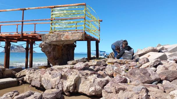 ¿Qué le pasó al muelle de Bahía de Kino?